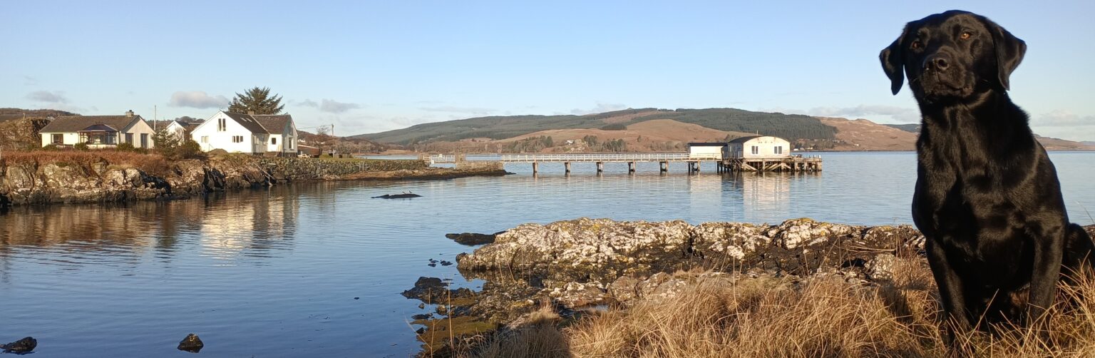 Salen Pier Holidays – Where relaxing by the sea is so easy…