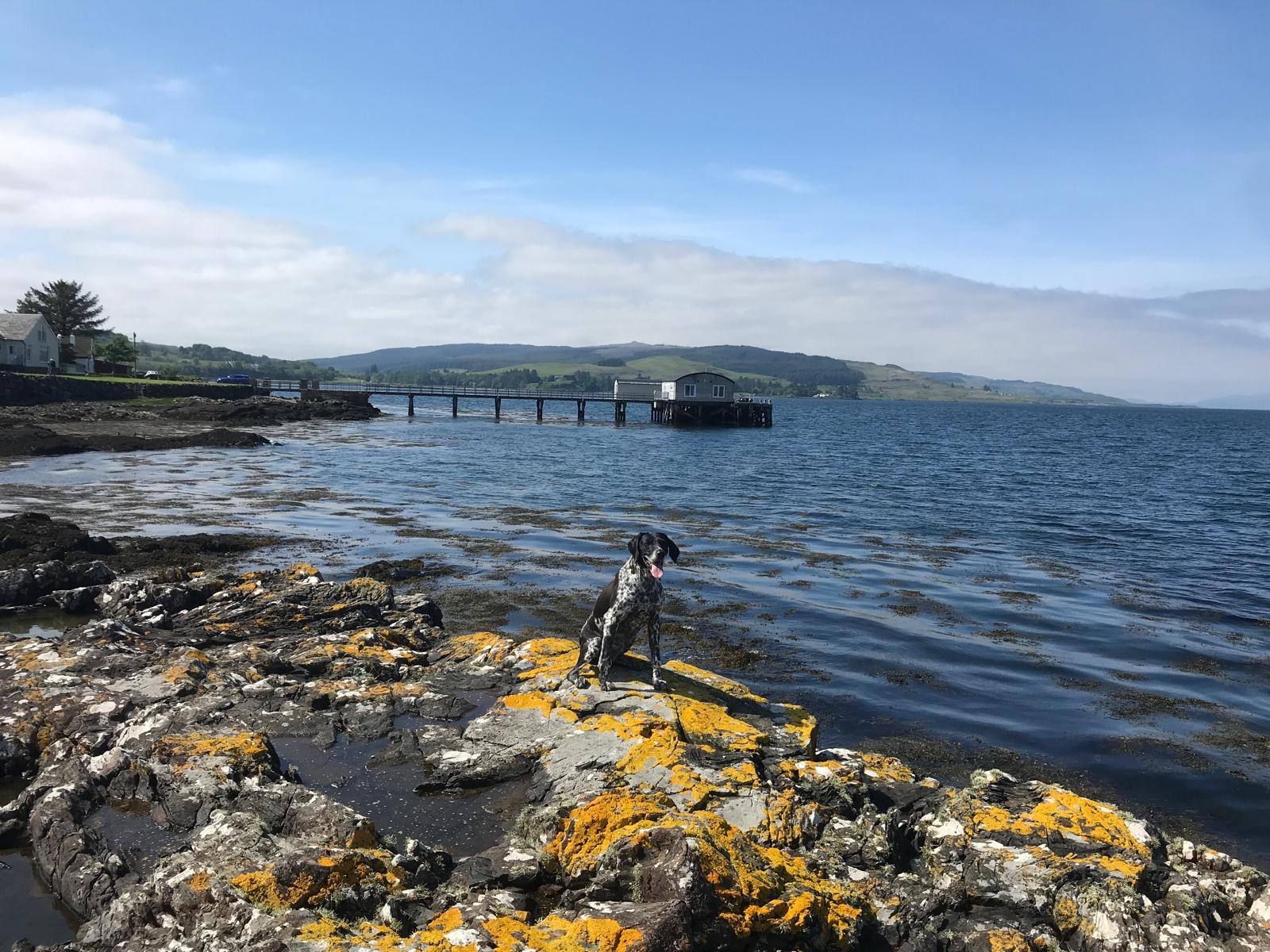 Salen Pier Point – Salen Pier Holidays
